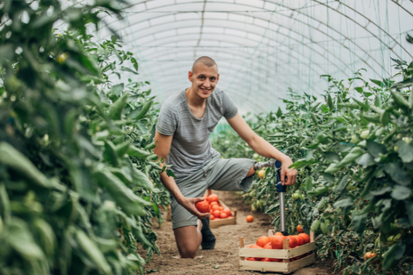 Meet the New NDIA CEO, Graeme Head AO - Lifely